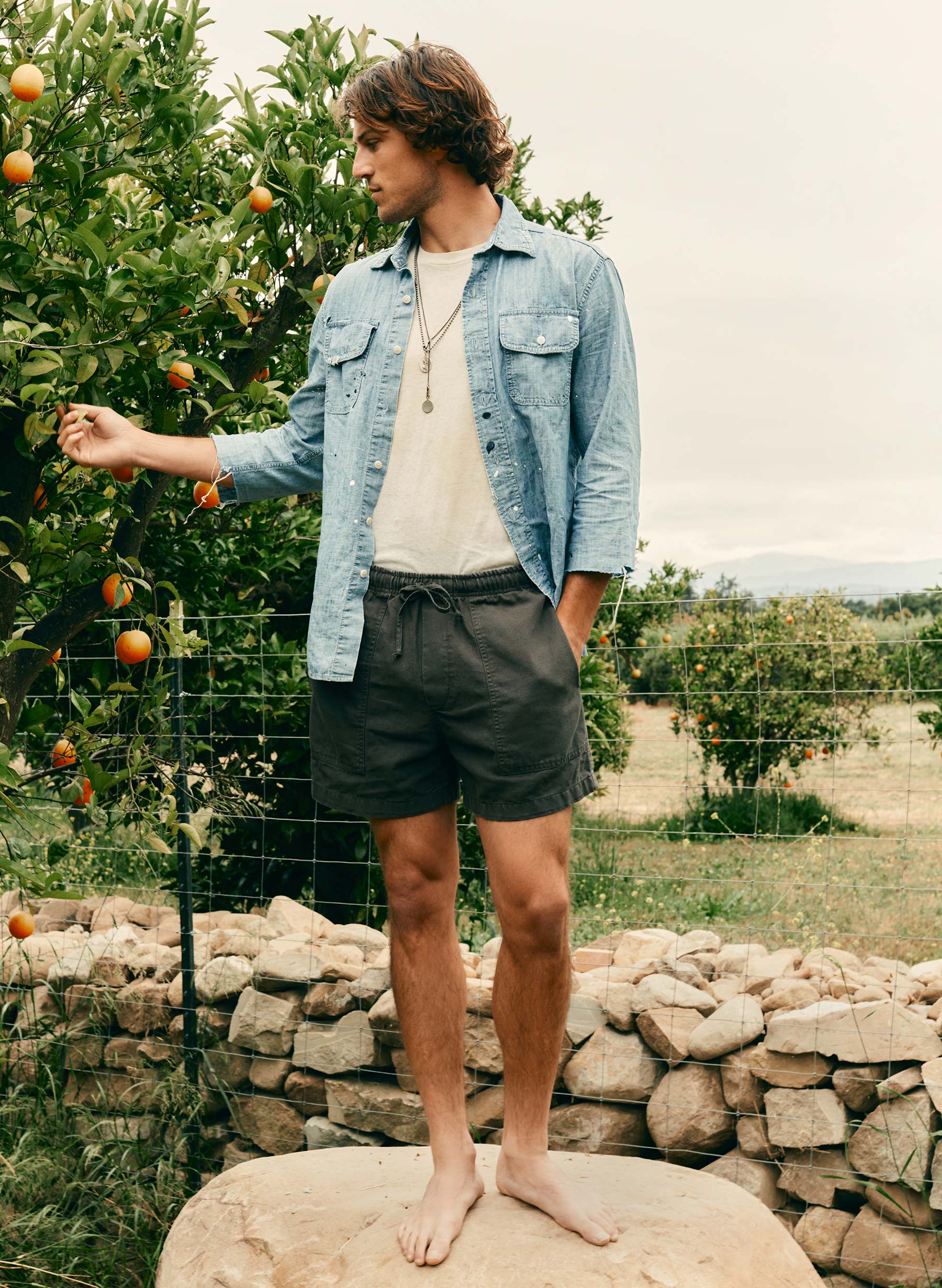 the lounge short – imogene + willie