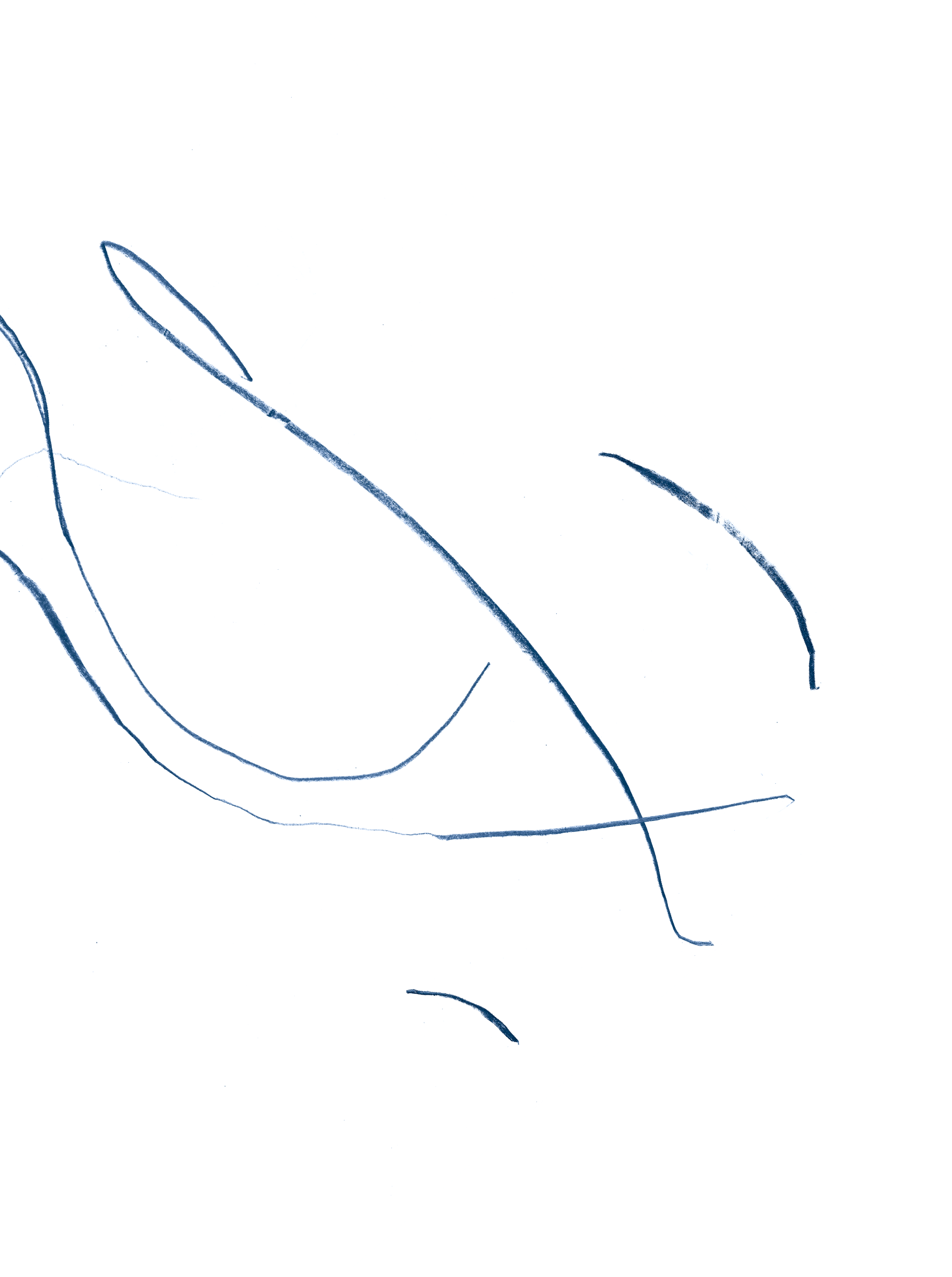 spruce knit box crew – imogene + willie